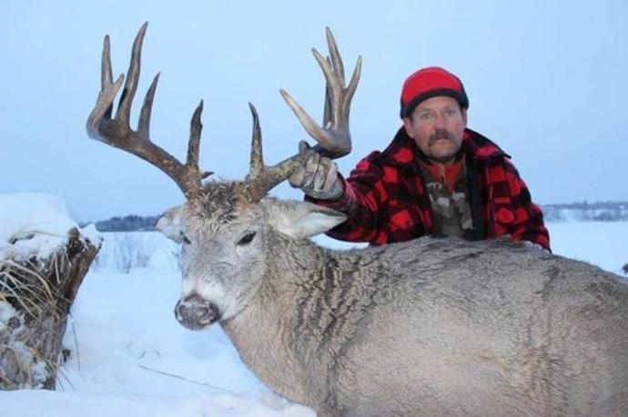 Saskatchewan Whitetail Deer Saskatchewan Whitetail Deer
